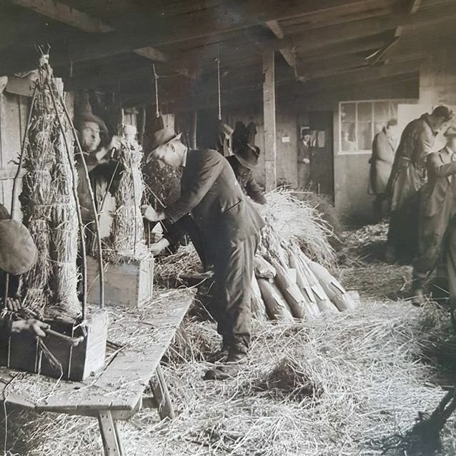 Buying Seeds and Plants Online | Habitat Aid