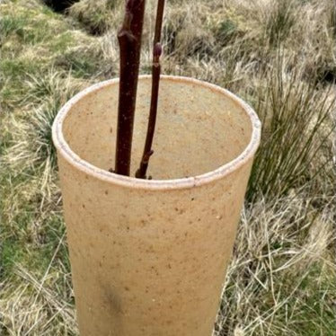 Biodegradable Tree Guards and Stakes | Shop | Habitat Aid