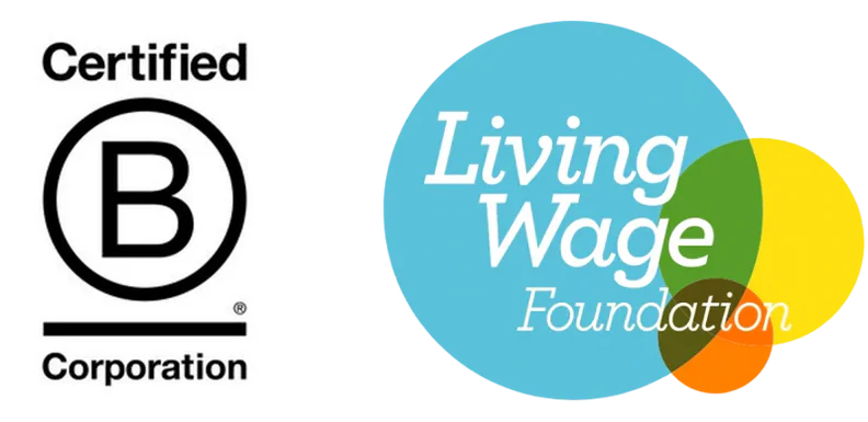 Bullace (Prunus insititia) | Buy British Fruit Trees | Habitat Aid