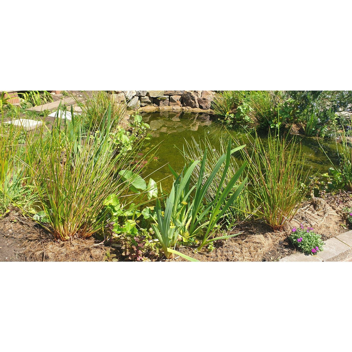 Pond Coir Mats | British Seeds & Plants | Habitat Aid